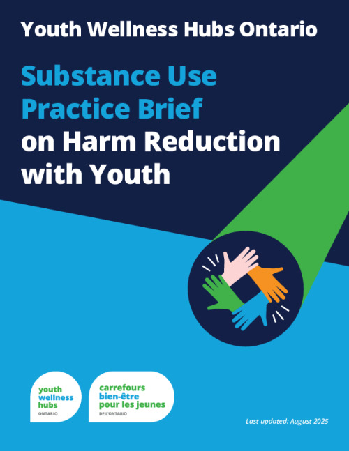 Substance Use Practice Brief on Harm Reduction | Youth Wellness Hubs ...